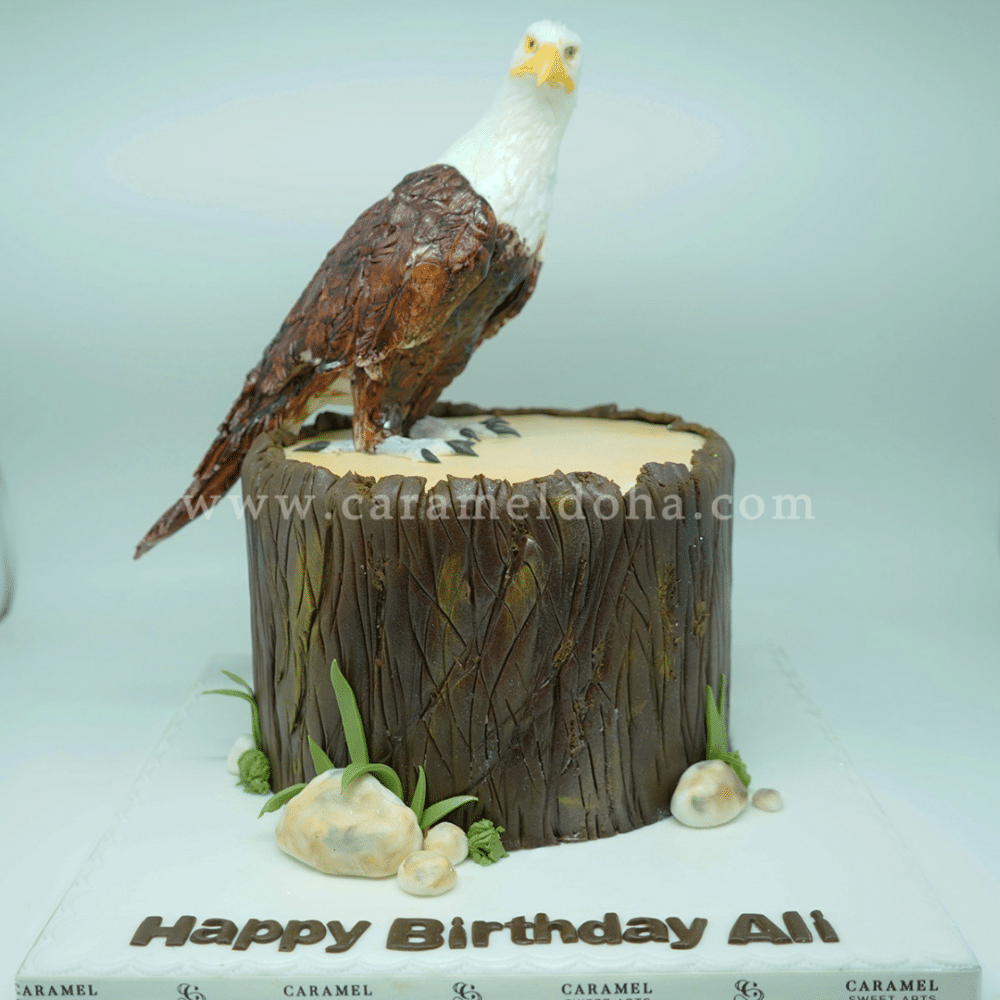 3D Falcon Cake - Caramel Sweet Arts